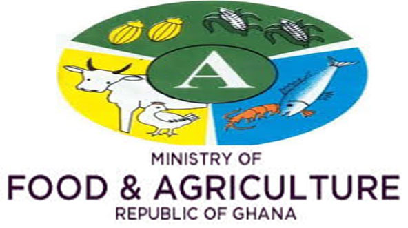 MoFA working to enhance services of extension officers - GBC Ghana Online - The Nation's ...