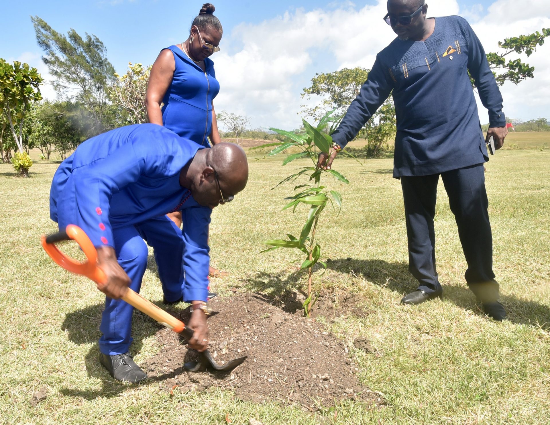 5 million trees to be planted on Friday, June 11, as part of Green ...