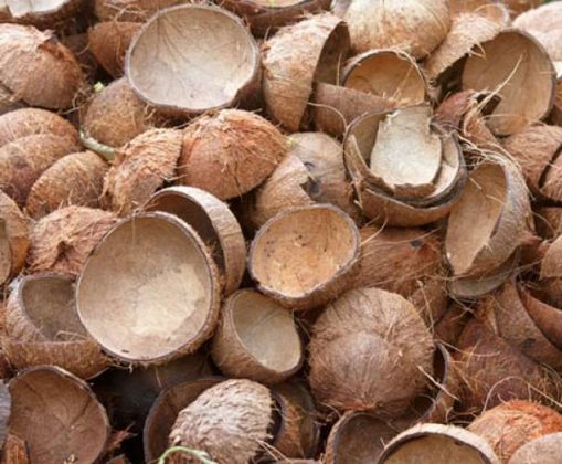 Coconut shells recycled into products