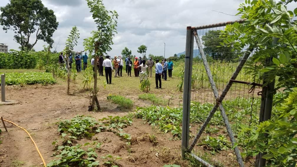 Ho Technical University to install it's invented solar-powered ...