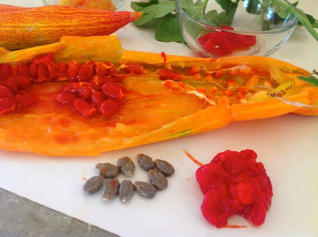Ghana researching Health, Nutritional superiority of ''Snake Tomato''