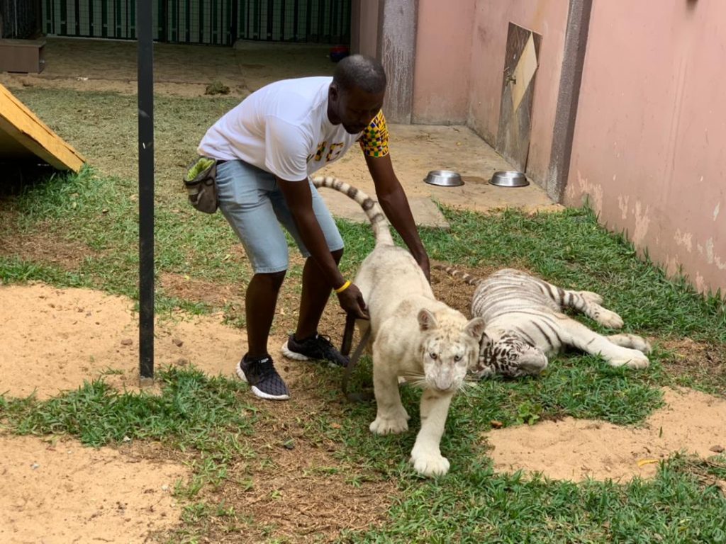 Relocation of Freedom Jacob Caesar’s ‘wild cats’ will be done after ...