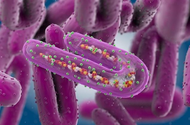 GHS reports 4 cases of Marburg Virus disease with 2 confirmed deaths