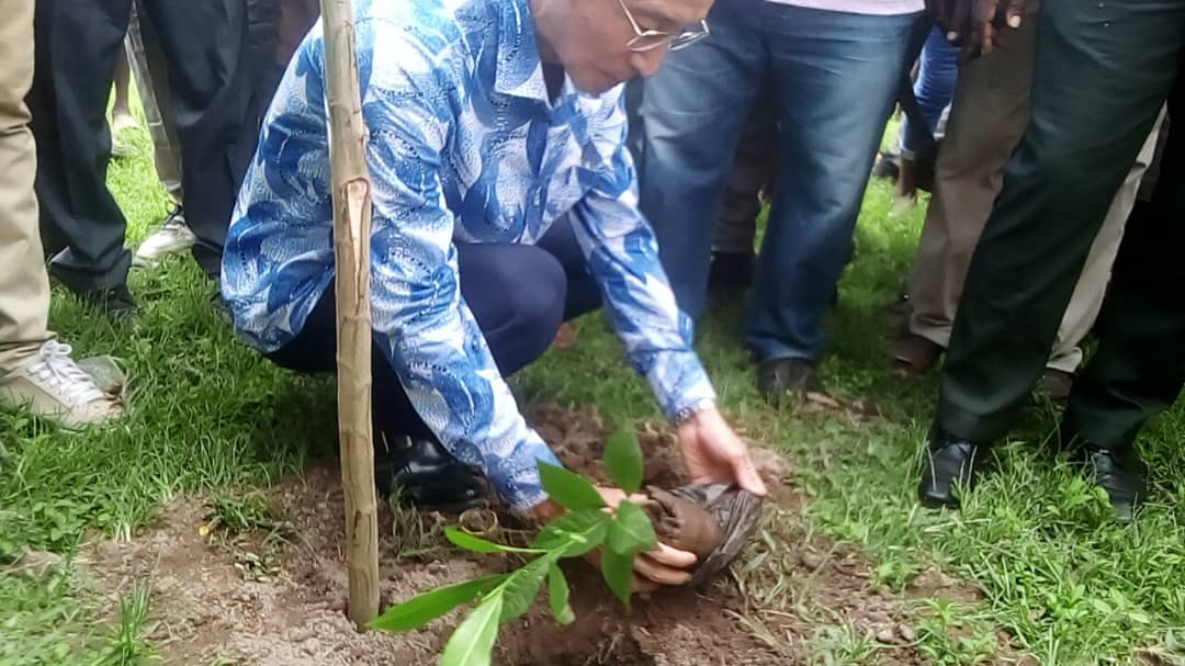 Japanese Ambassador to Ghana joins Nkwanta South on Green Ghana Day ...
