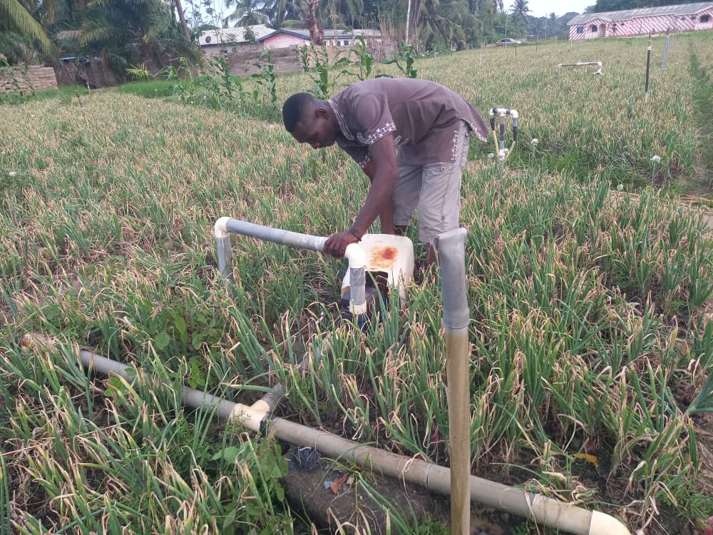 Vegetable farmers at Tegbi lament high cost of electricity